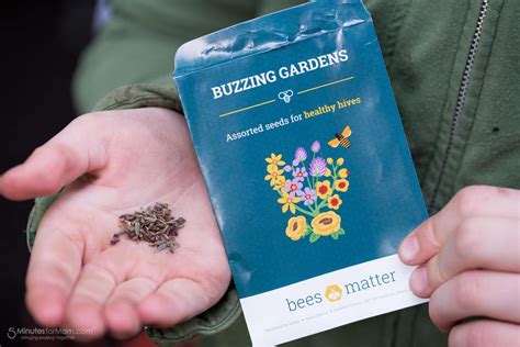 Free Flower Seeds For Bees Canada | Best Flower Site