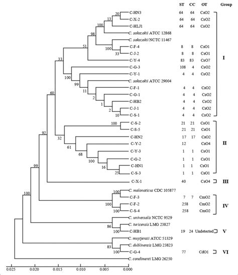 phylogenetic relationship of 27 cronobacter isolates containing 14