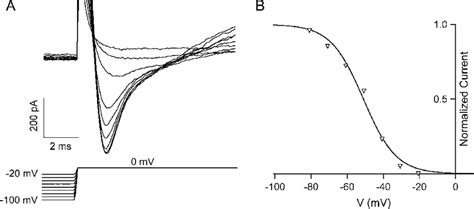 Inactivation Properties Of Inward Currents A Inward Currents