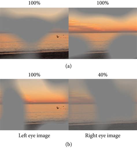 Illustration of the dichoptic movies. The two eyes’ views are shown... | Download Scientific Diagram