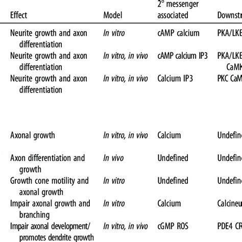 Extracellular Signals And Their Downstream Second Messengers That Download Scientific Diagram
