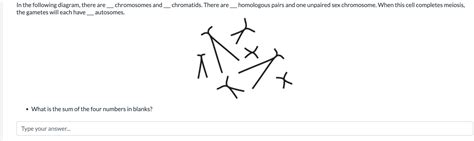 Solved What Is The Sum Of The Four Numbers In Blanks