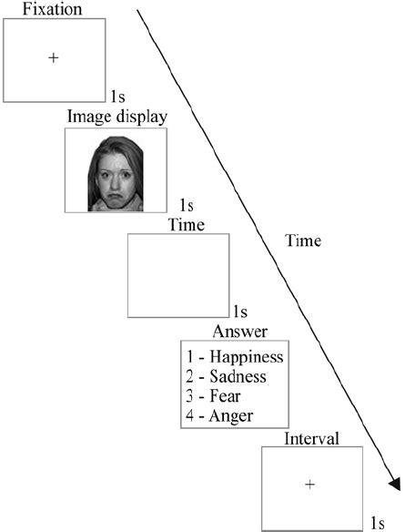Schematic Of Stimulus Presentation Download Scientific Diagram