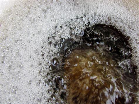 How To Brew Aerated Compost Tea And 5 Reasons Why You Should