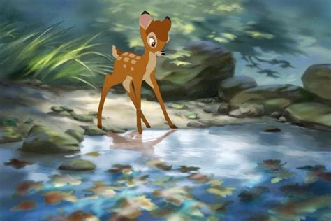 Le Conte De «bambi Est Une Tragédie Juive 24 Heures
