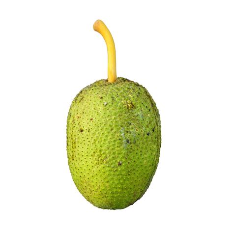 Premium Photo A Green Fruit With A Yellow Stem