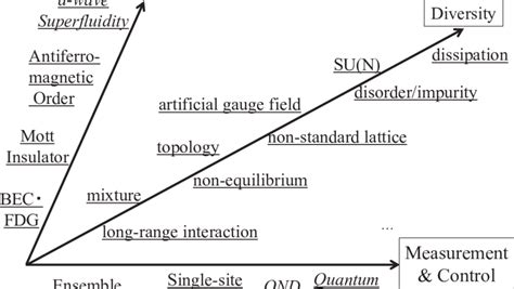 Achievements And Future Directions Of Optical Lattice Quantum Download Scientific Diagram