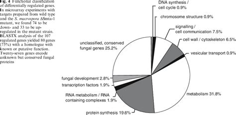 Functional Classification Of Differentially Regulated Genes In