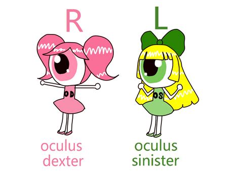 Oculus Dexter And Oculus Sinister By Vinaxiuzhen On Deviantart