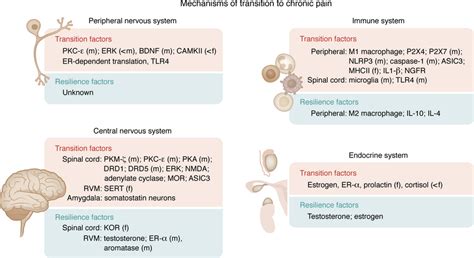 Jci Sex Differences In The Transition To Chronic Pain