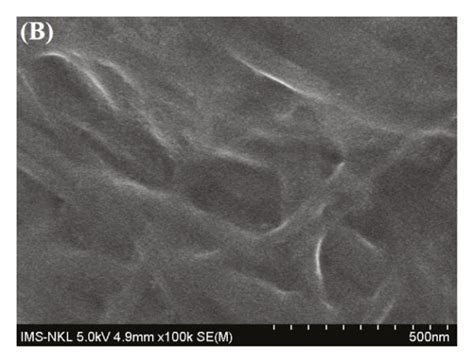 Scanning Electron Micrographs Of Bacterial Cellulose Native B Nata Download Scientific
