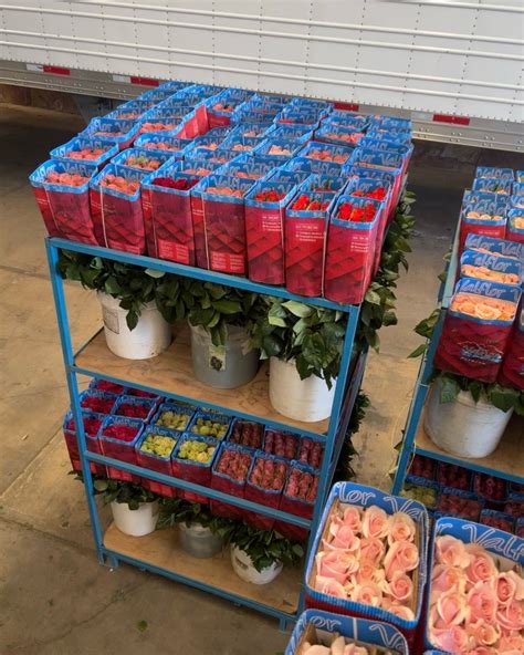 Flores Valflor Floresvalflormx • Instagram Photos And Videos