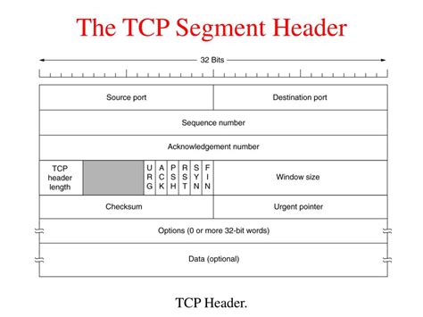 Ppt The Network Layer Powerpoint Presentation Free Download Id 4106706