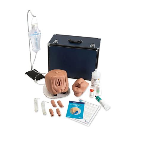 Life Form® Male Female Catheterization Simulator Light Skin Tone