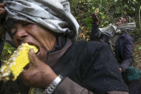 On The Edge Dangerous Harvest Of Nepals Wild Cliff Honey Daily Sabah