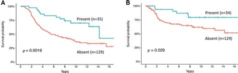 Nuclear Pseudoinclusions And Intranuclear Grooves Have An Important