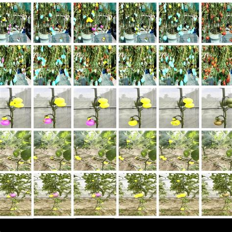 Qualitative Evaluation Of The Proposed Framework Alongside