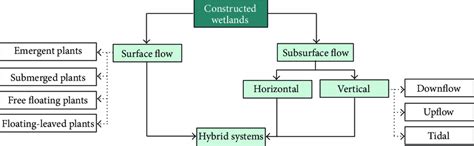 Various Types Of Constructed Wetlands 9 Download Scientific Diagram
