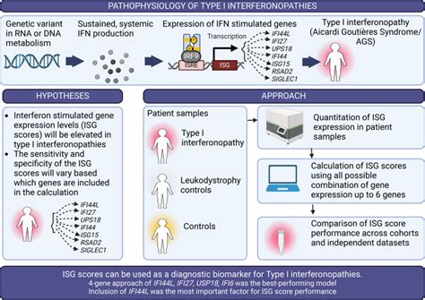Ifn Signaling Gene Expression As A Diagnostic Biomarker For Monogenic Interferonopathies Pmc