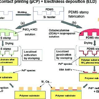 Schematic Diagram Of The Electroless Ni Plating Process Download