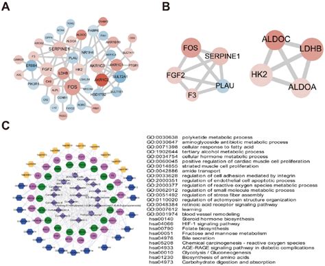 Ppi Networks And Network Pharmacology A Ppi Network Diagram Of 49