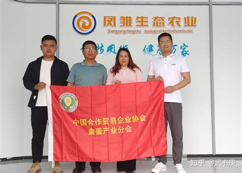 卧龙凤雏忠诚智慧 雏鸡产蛋融合发展 知乎