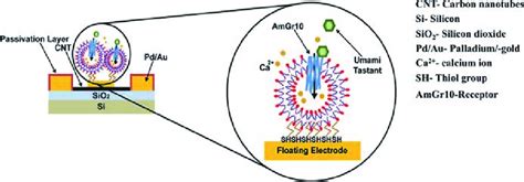 7 Image Showing The Basic Design Of Floating Electrode Based