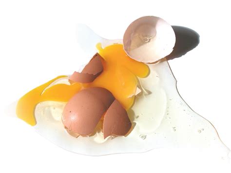 Egg Smashed Free Photo Download Freeimages