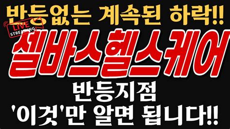 셀바스헬스케어 반등없는 계속된 하락 반등지점 이것만 알면 됩니다 Youtube