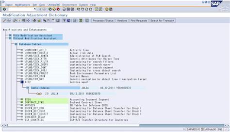 Extension Index In SPDD SAP Community