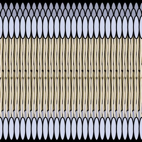 Membrane Composition 2 Figure Science Figures