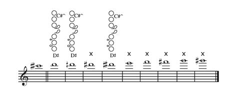 The Kingma System Alto Flute A Practical Guide For Composers And
