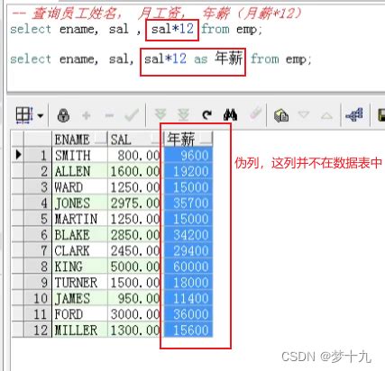Oracle PL SQL数据库基础操作 持续更新 plsql怎么查看数据库中的表 CSDN博客