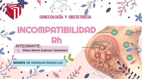 Incompatibilidad Diana Espinoza Udocz