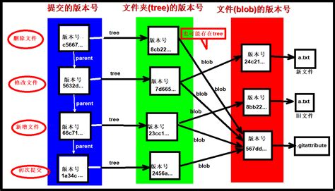 Git教程04 版本号 Git版本号机制详解 Git版本号是什么 Git零基础教程 Git学习笔记分享 Csdn博客