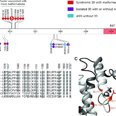 Genotype Phenotype Correlation Associated With Trrap Variants A Download Scientific Diagram
