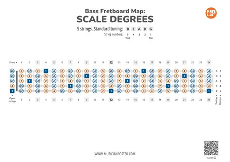 5 String Bass Fretboard Notes