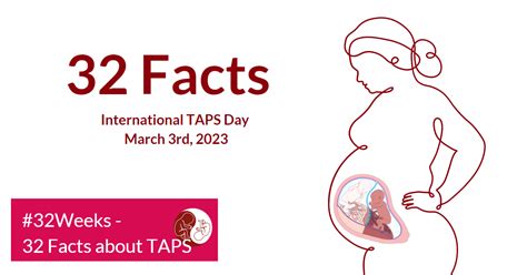 32weeks 32 Facts About Taps The Taps Support Foundation