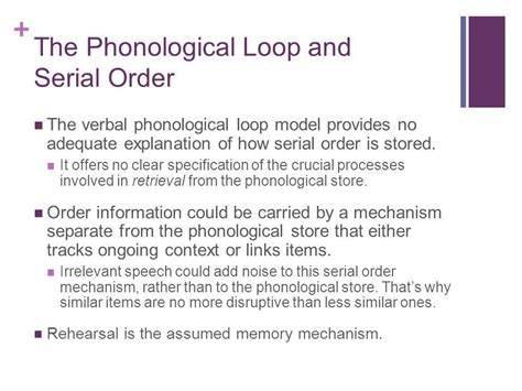Chapter 2 Short Term Memory Ppt Download