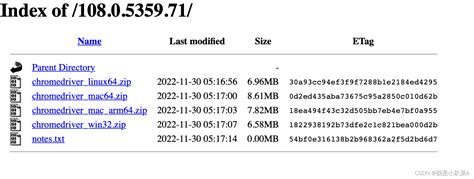 Chromedriver安装成功，运行报错，解决办法exception Trying To Discover Chromedriver