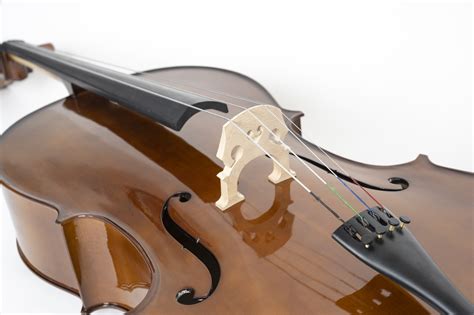 Violoncello Segovia 4 4 Superior Madera Abeto Estuche Arco Music Shaker