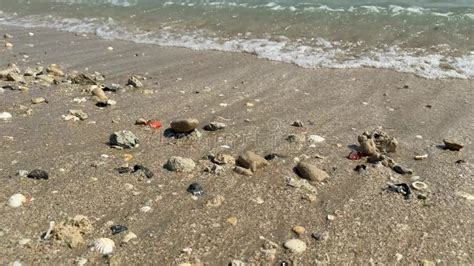 Tiny Waves Of Ocean Water On A Sandy Beach With Pebbles And Shells
