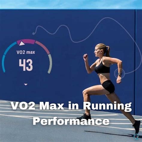 Understanding Vo2 Max Unlock Running Potential