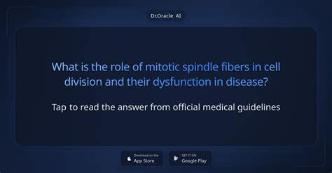 What Is The Role Of Mitotic Spindle Fibers In Cell Division And Their Dysfunction In Disease