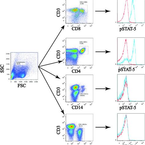 Gating Schematic For Phospho Flow Cytometry Staining Pbmc Pre Post Dc Download Scientific