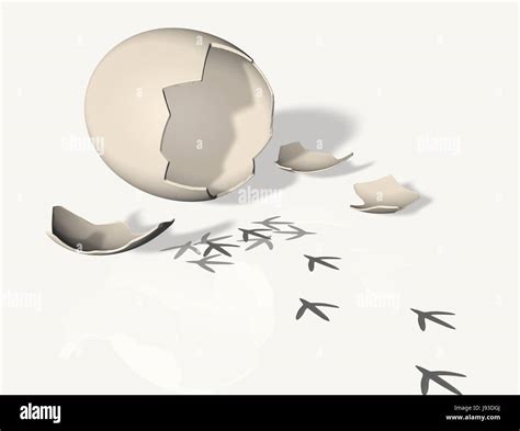 Born Shell Broken Egg Beginning Born Model Design Project