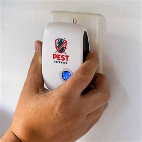 How To Use Bengal Roach Spray All About Roaches