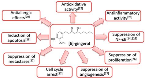 Structural Formula And Reported Biological Effects Of [6] Gingerol [22 29] Download