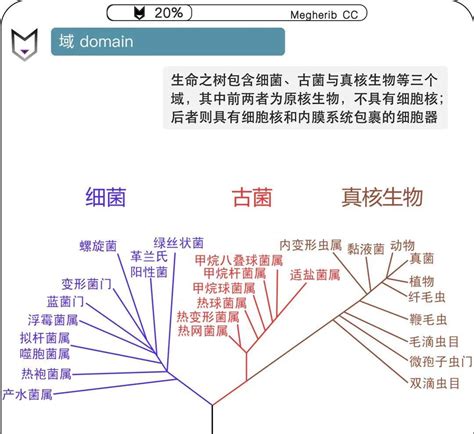 一图看懂生物进化与分类 知乎