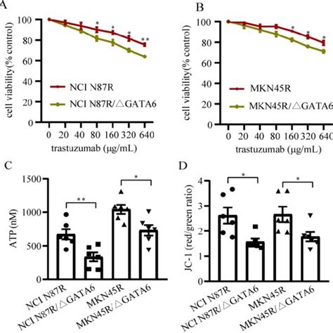 Detection Of Cell Viability And Mitochondrial Function A And B Cells